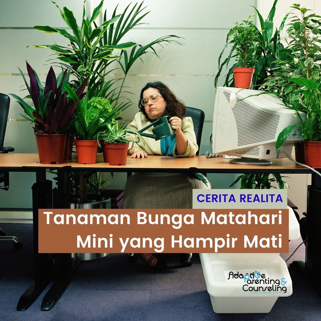 Cerita Realita: Tanaman Bunga Matahari Mini yang Hampir Mati - Adaptive ...